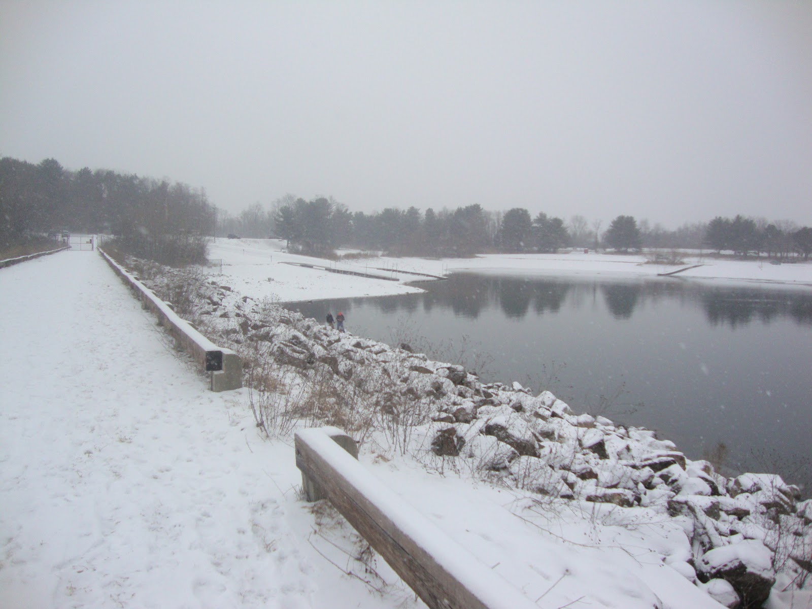 Grow Damnit!: Who goes fishing in a snow storm?