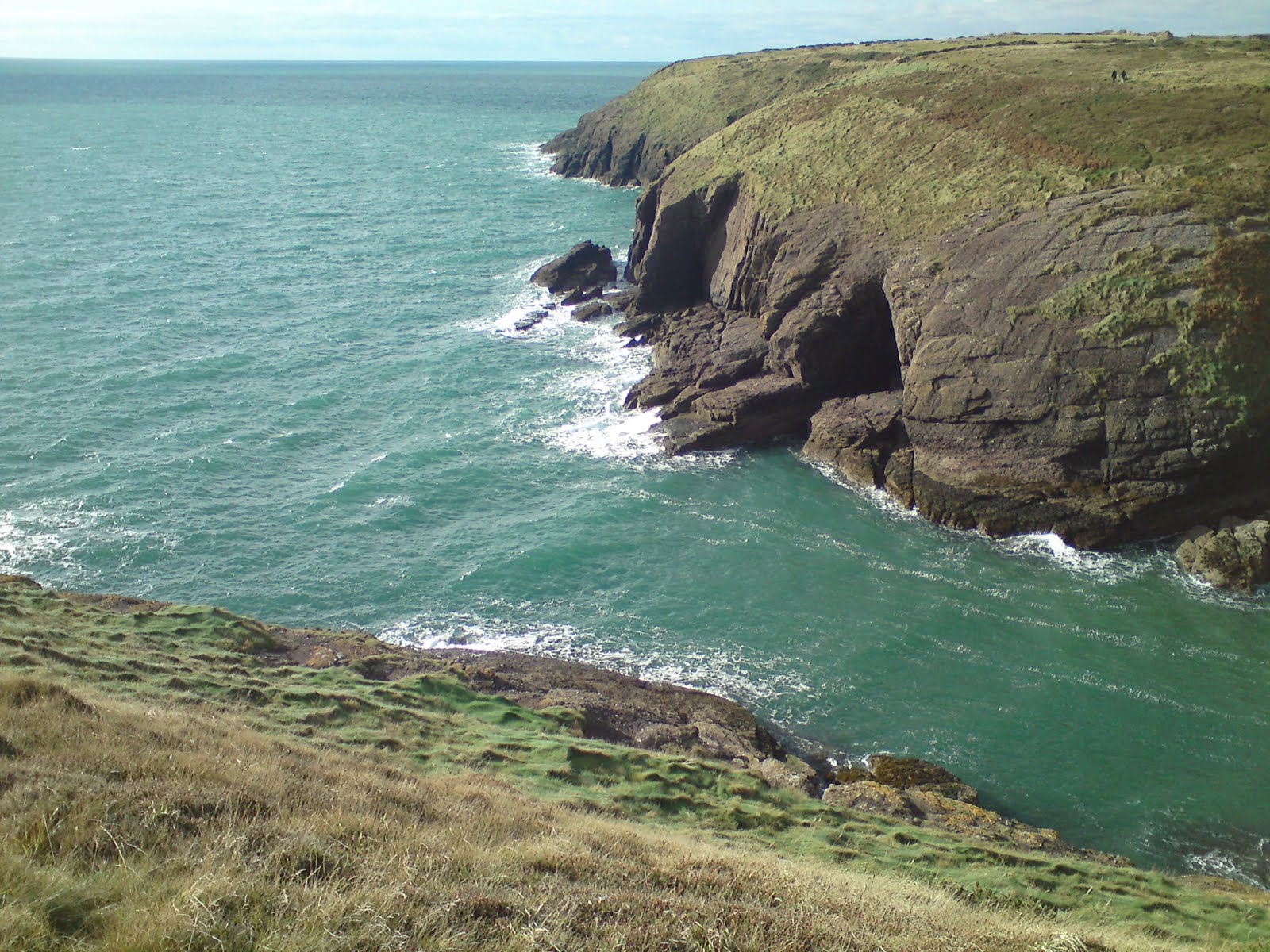 Irish Wildlife Trust...Waterford Branch: Cliff walk report part 2
