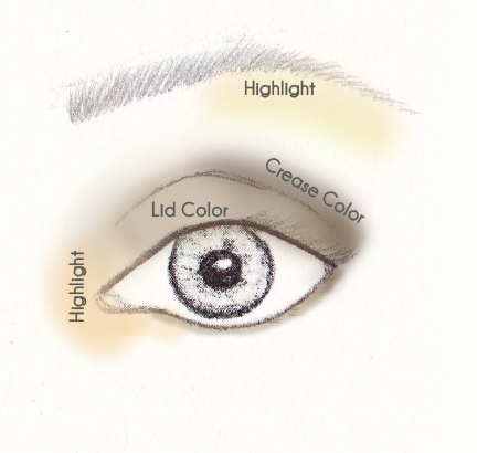 The Copper Bee Cosmetics: Michelle's Beauty Blog: Eye Shadow Placement Tips