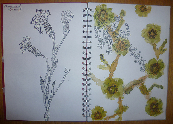 Cristina Morales - Online Portfolio: Nature