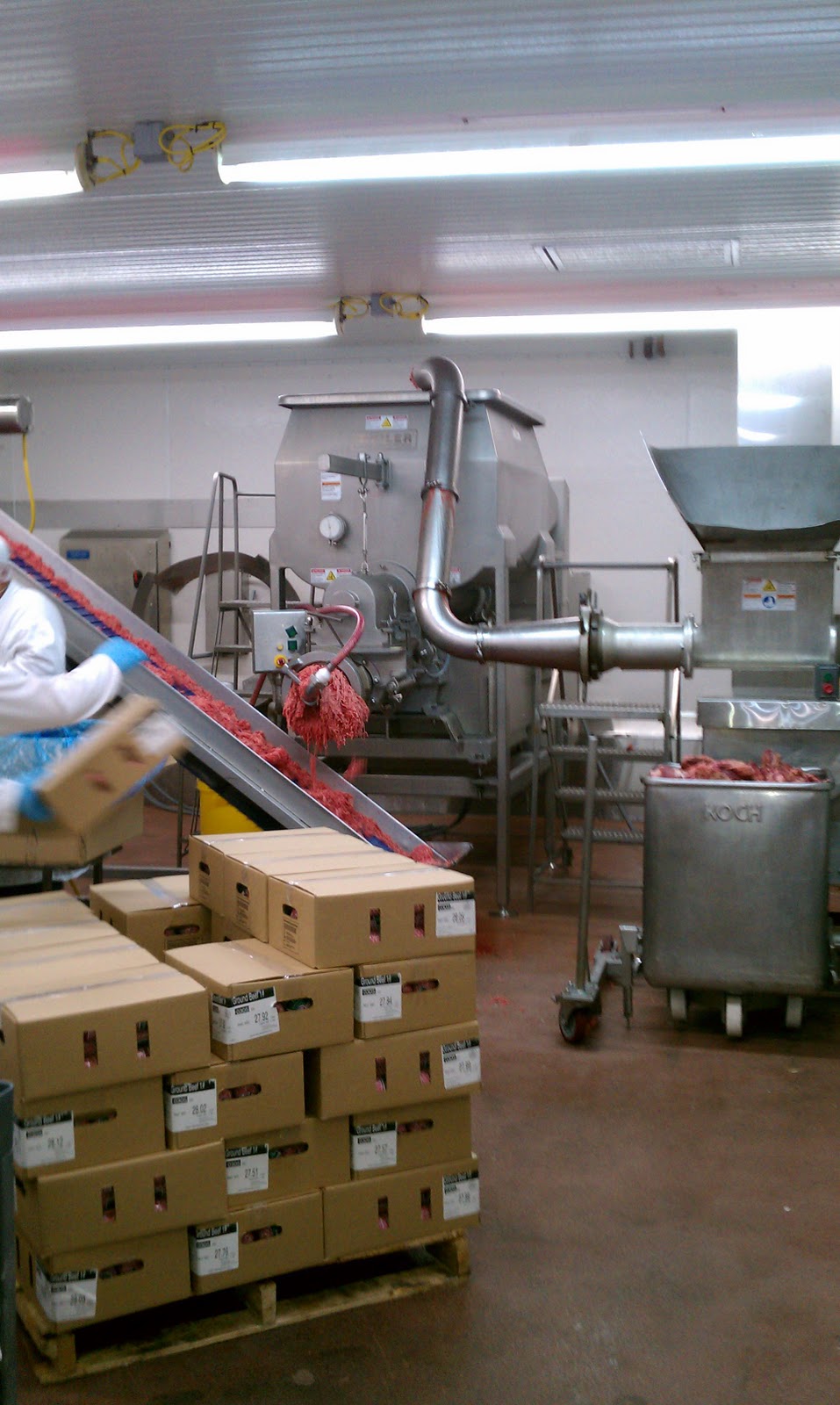 A Good Cadence: Volunteering at the Meat Packing Plant