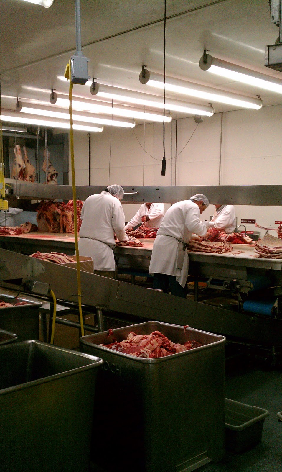 A Good Cadence: Volunteering at the Meat Packing Plant