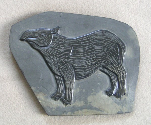 TAPIRS: The Tapir Preservation Fund (TPF): Feb 4, 2005: Tapirs in the ...