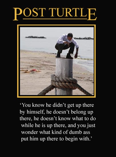 DEWEY FROM DETROIT: The Poster Post Turtle