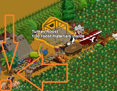 Lynspirations: FarmVille - Turkey Roost