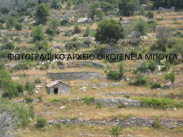 ΣΚΛΗΡΟ ΜΕΣΣΗΝΙΑΣ-ΟΙΚΟΓΕΝΕΙΑ ΜΠΟΥΓΑ
