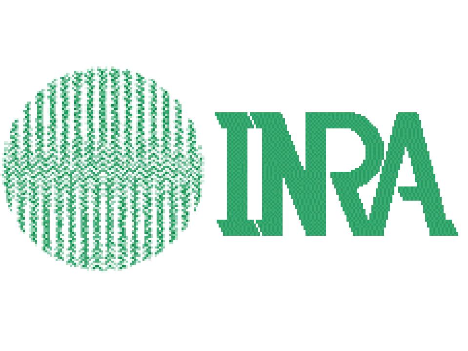 Economía Agrícola: noviembre 2009