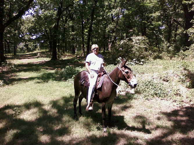 RIDIN' AROUND: SALTGRASS TRAIL RIDE