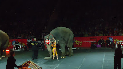 The Secret To Laughing...: The Greatest Show on Earth.... the CIRCUS!
