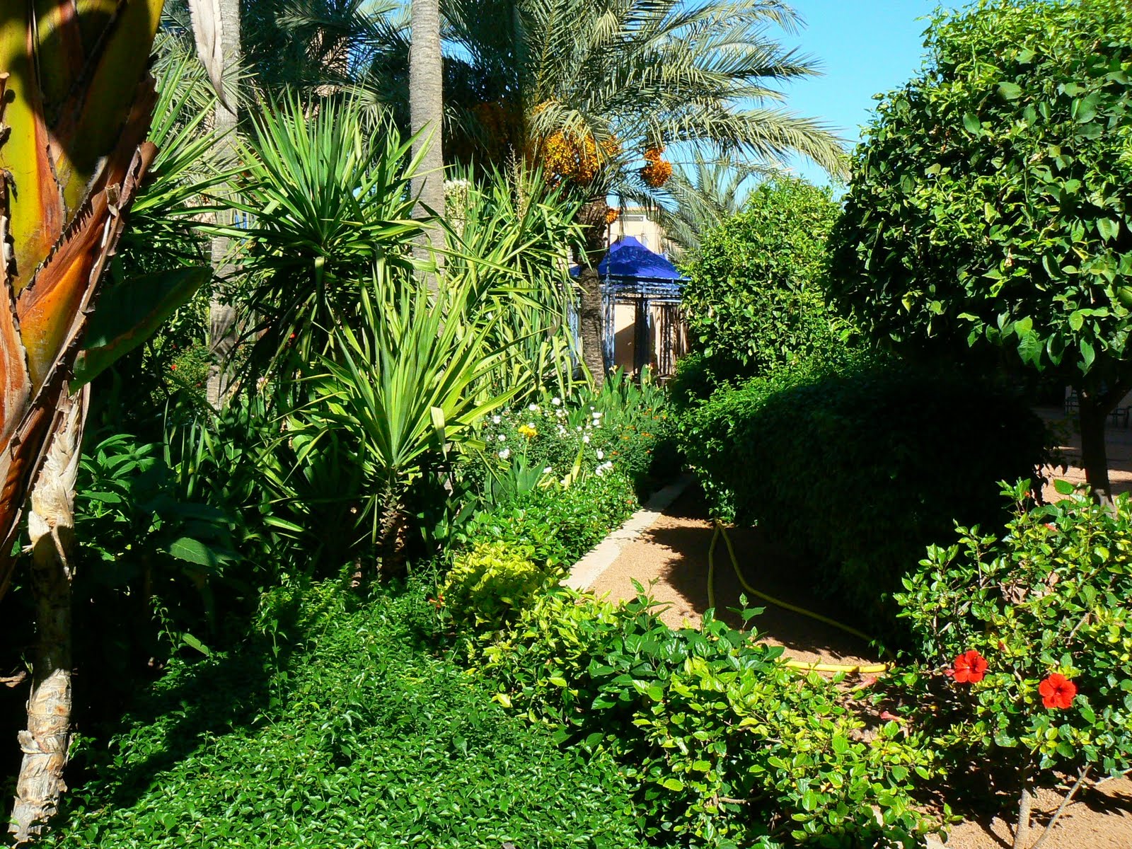 Le Meridien Marrakech - gradini andaluze in Maroc - Africa, Cazare, Maroc