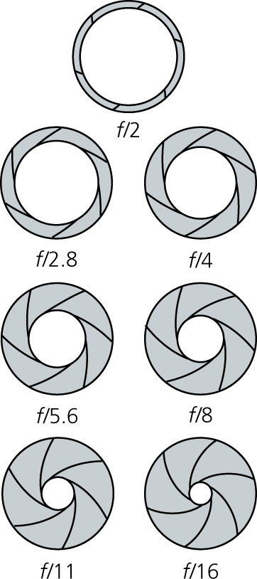 Jardine McInerney: Camera Basics
