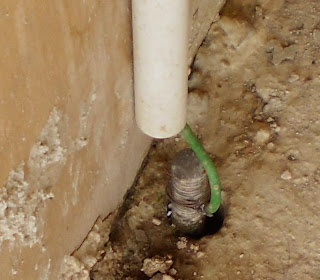 Electrical Installations: Temporary Electrical Installations