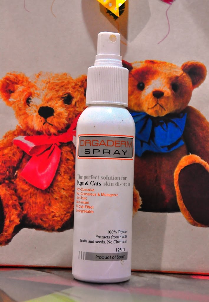 HI! WELCOME TO PASSIONFASH!: MY MINI PETSHOP