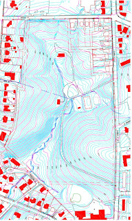 Wilson Park Tree Inventory: Wilson Park Map