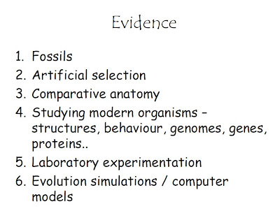 IB Notes: 1: Taxonomy levels, 2. Evidence for Evolution