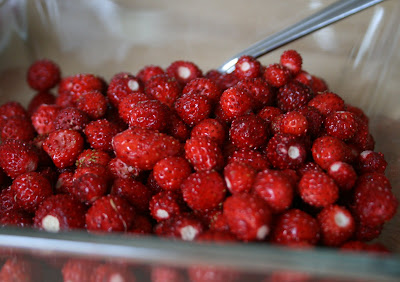 SMASKENS.NU: Min finaste vaniljglass, med rårörda smultron