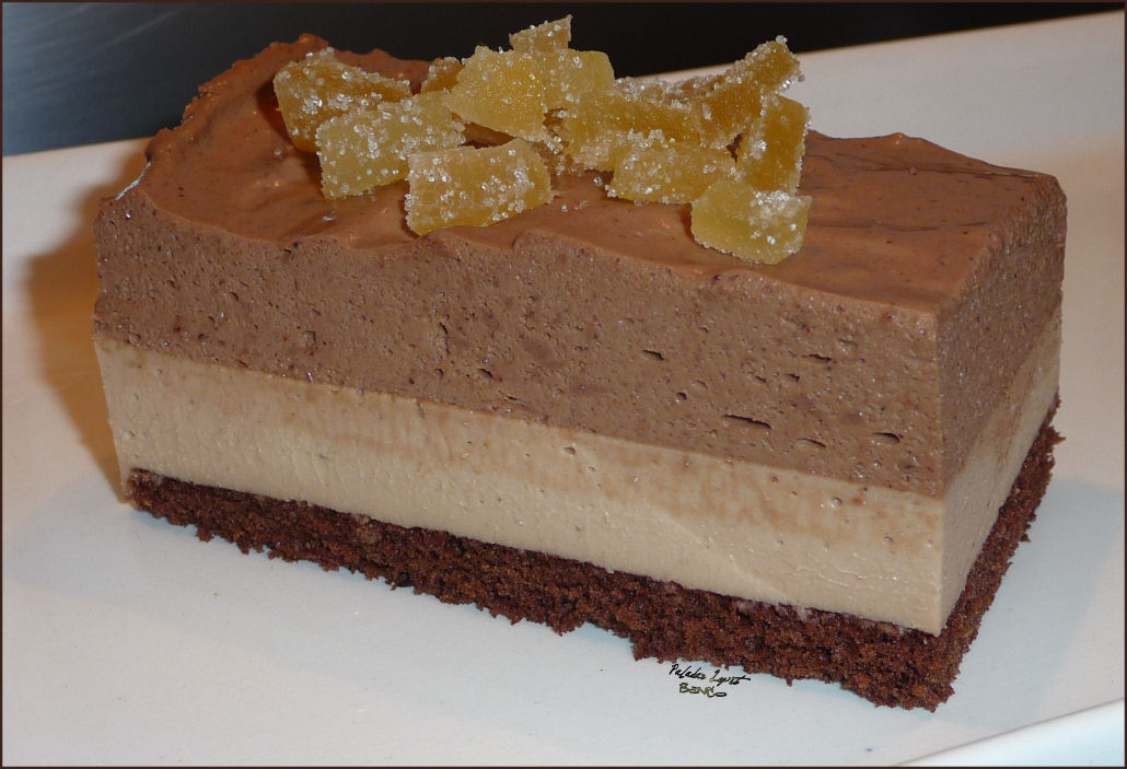 Lou Paladar Lepet: Entremets Noix & Chocolat ...