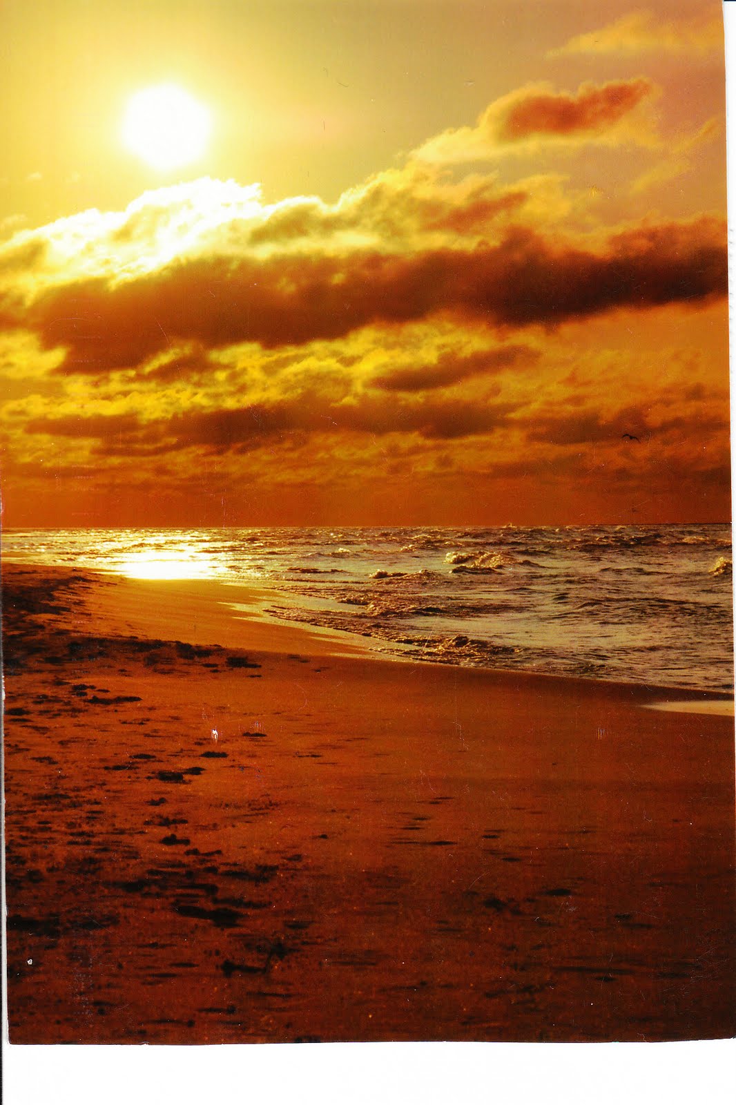 Gem's World Postcards: A Sailing Ship, The Eden Project, A Sunset Beach ...