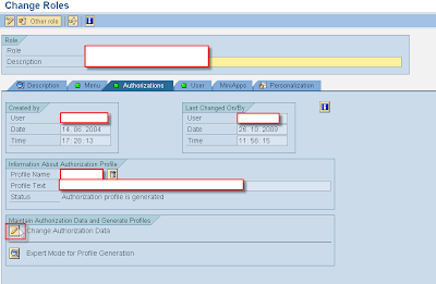 SAP Business Intelligence for Beginners: Change SAP authorization roles