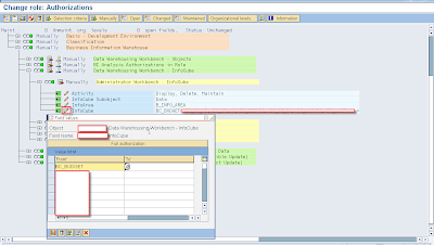 SAP Business Intelligence for Beginners: Change SAP authorization roles