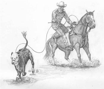 AA Callister Blog: Calf Roping