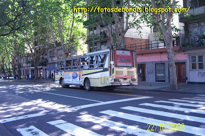 Fotos de Omnibus: EMP. ANT. ARGENTINA S.A.T. - LÍNEA 95