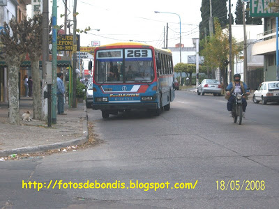 Fotos de Omnibus: EMPRESA SAN VICENTE - LÍNEA 263