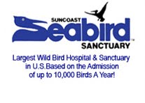 Florida Gulf Property/Purtee Team: Seabird Sanctuary - Volunteers ...