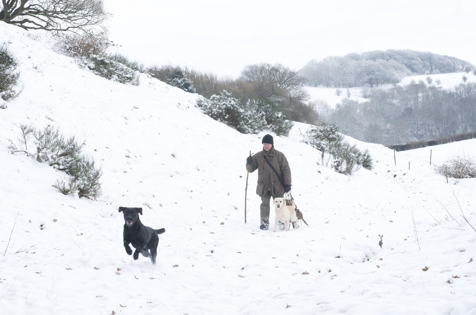 JEMMA HARDING SHOOTS: Horningsham shoot pt.2