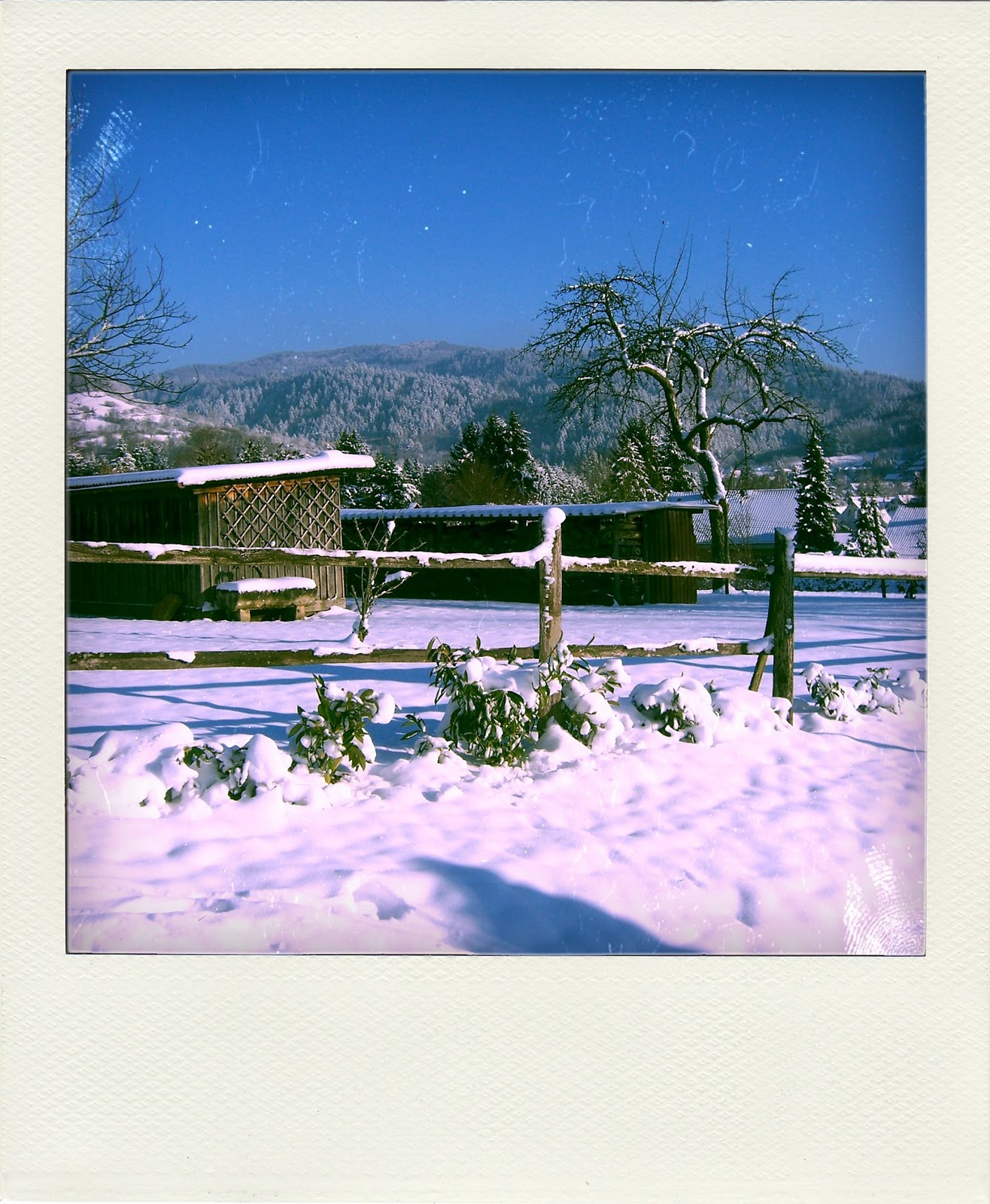 The Paris Market & Brocante: Polaroids from Paris: {German Snow Scene}