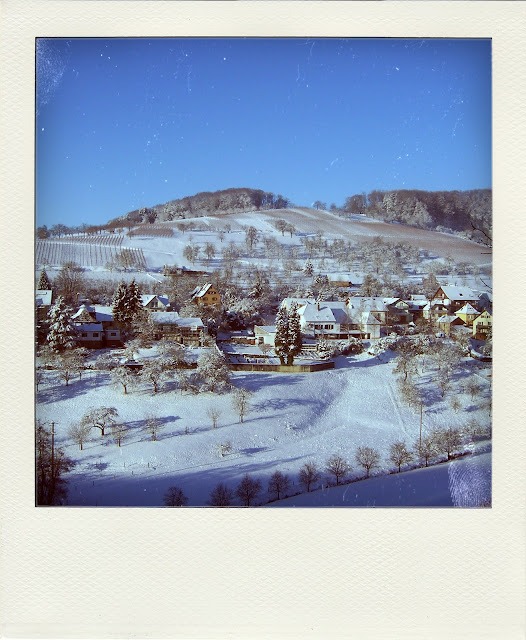 The Paris Market & Brocante: Polaroids from Paris: {German Snow Scene}