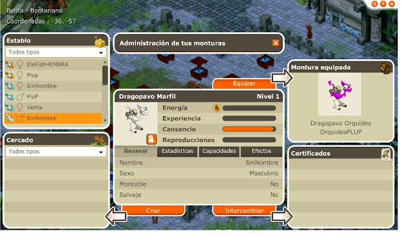 Cria de Dragopavos | Gremio Alea iacta est: Guías DOFUS descubre el ...