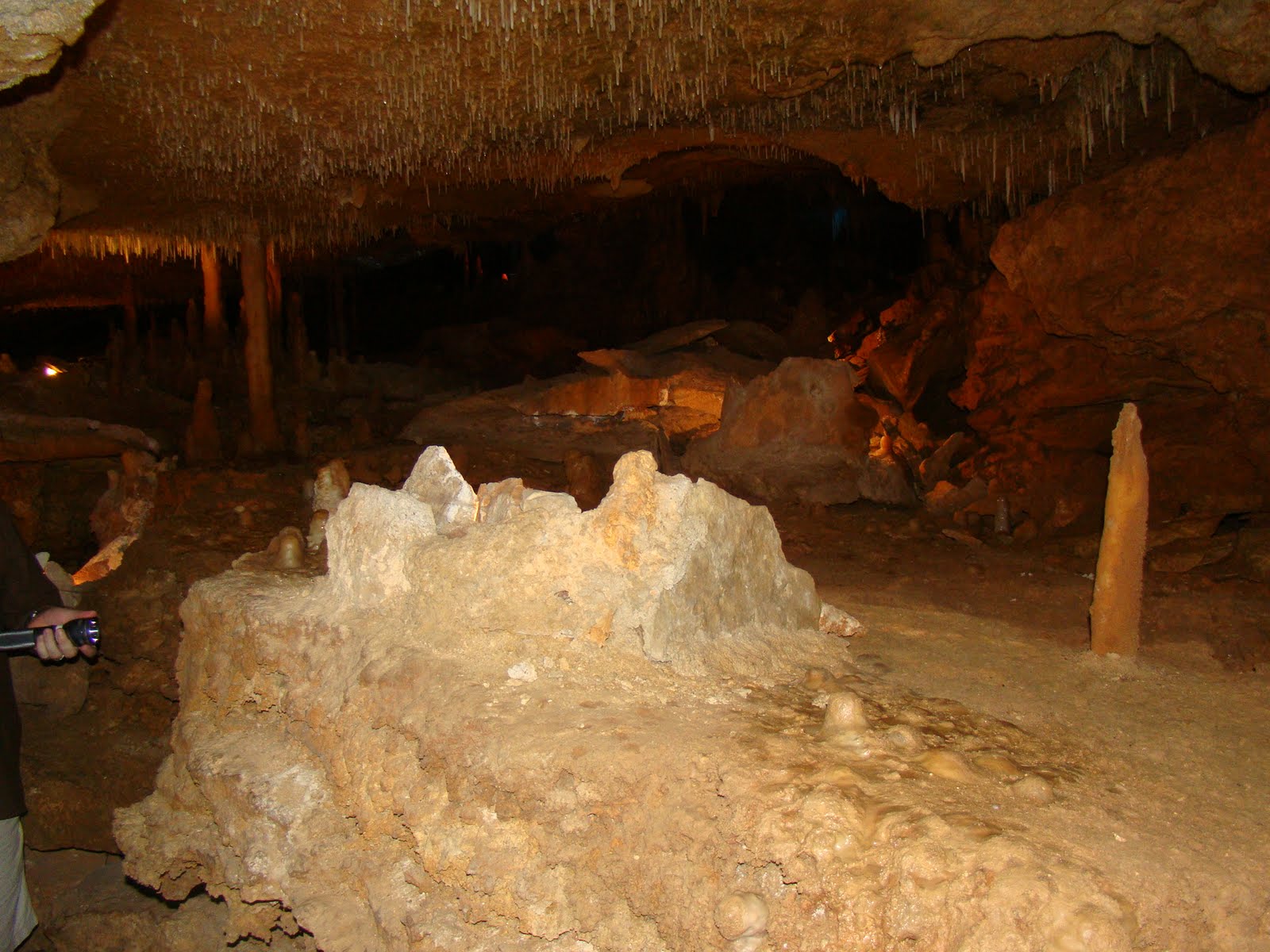 Jamie's Journal: Inner Space Cavern July 5th 2010