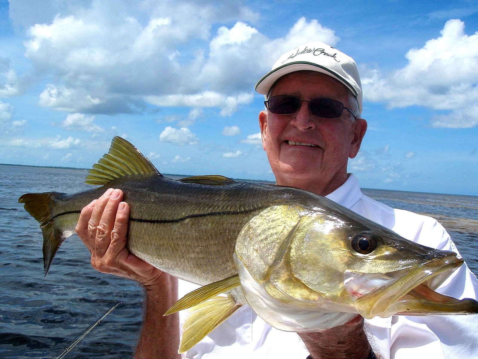 Redfish, Snook and Tarpon Action in Southwest Florida - Pine Island ...