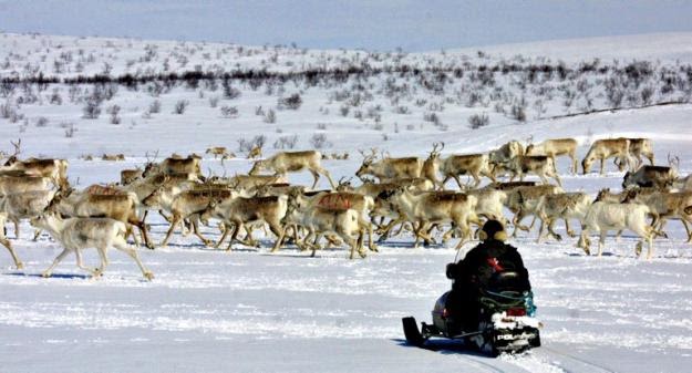 Norsk blogg: Fornorsking av samene