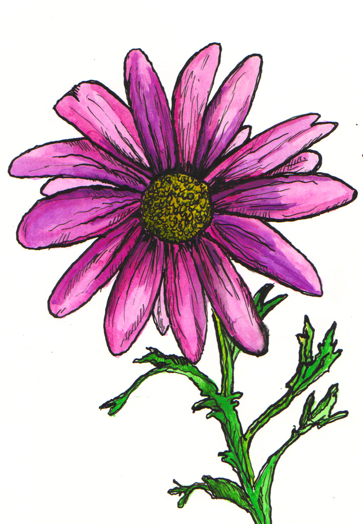 The artist within me: Pen and Ink