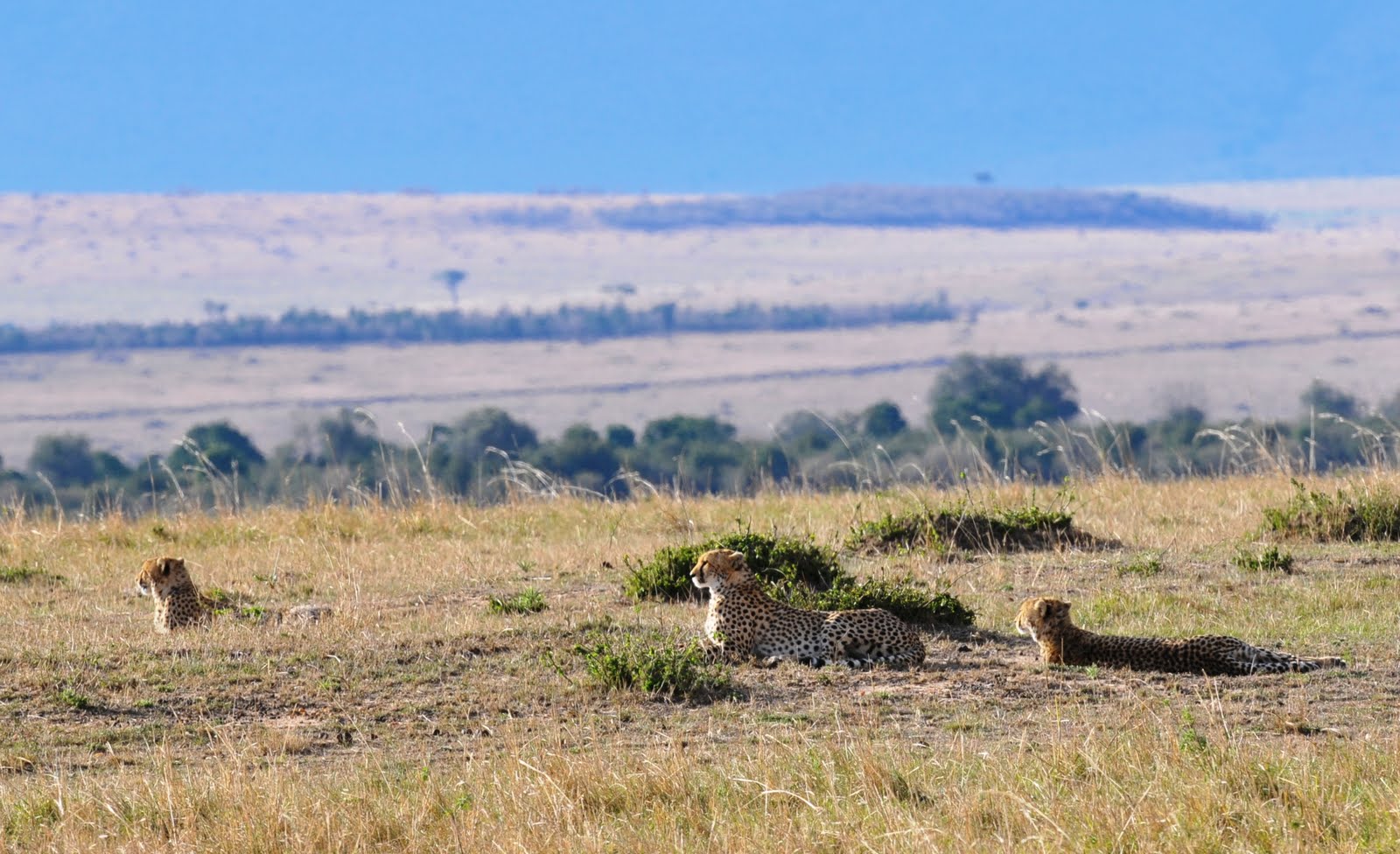 One more time with feeling: Back to the Mara one more time