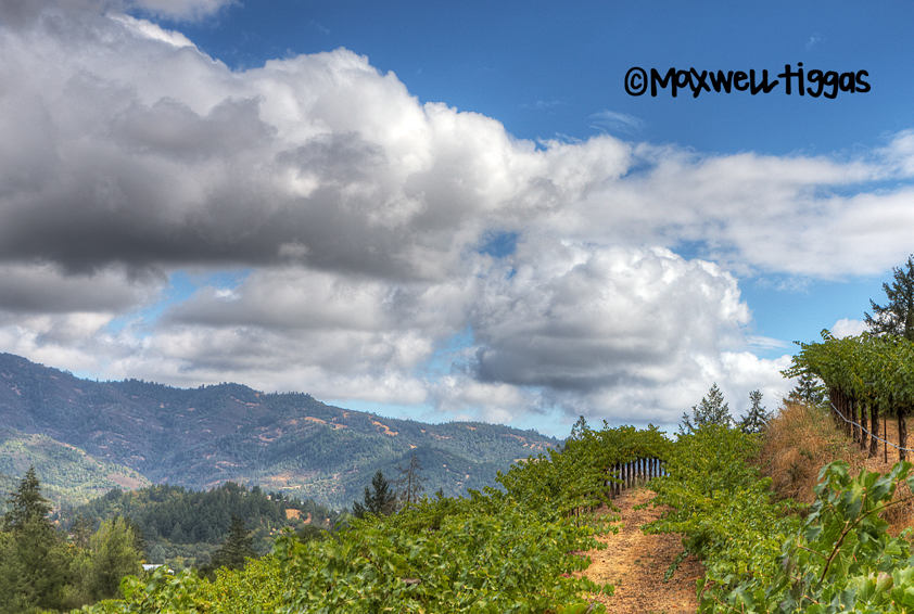 Photography: Assistant | Digital Tech | Photographer | Retoucher ...