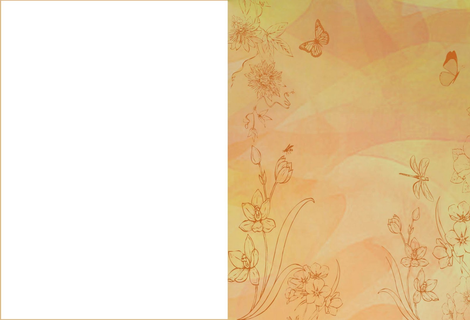 Wrapped For Life: Blank Butterfly Note Card Set