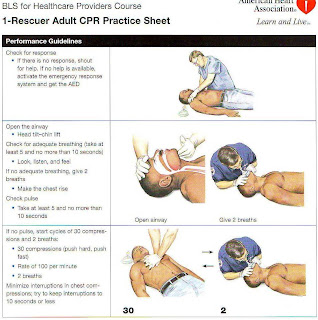 MY Health Fitness Portal: BLS Algorithm