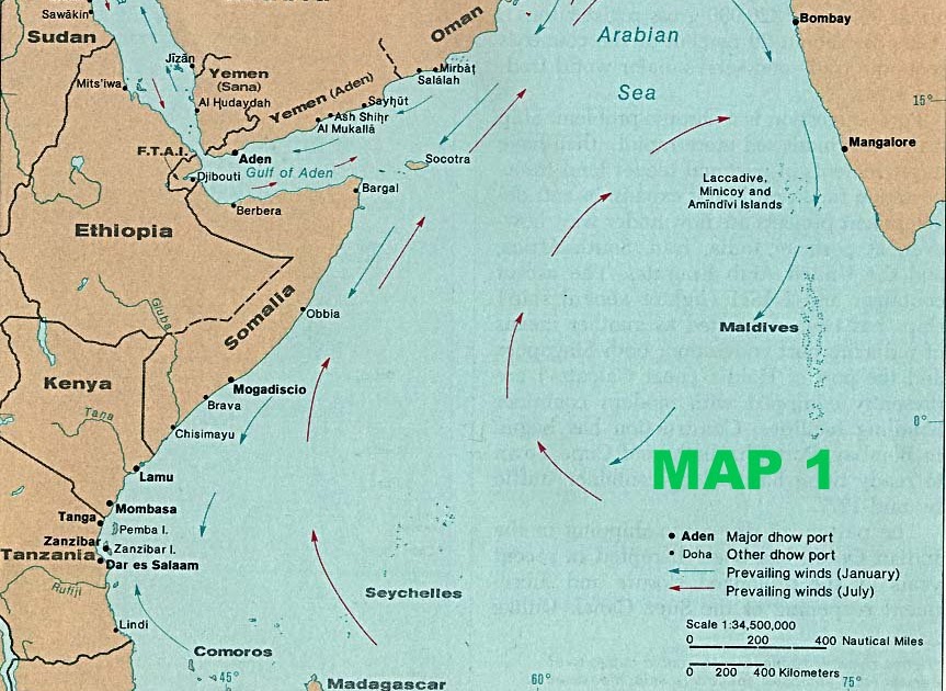 EagleSpeak: How to Beat the Somali Pirates