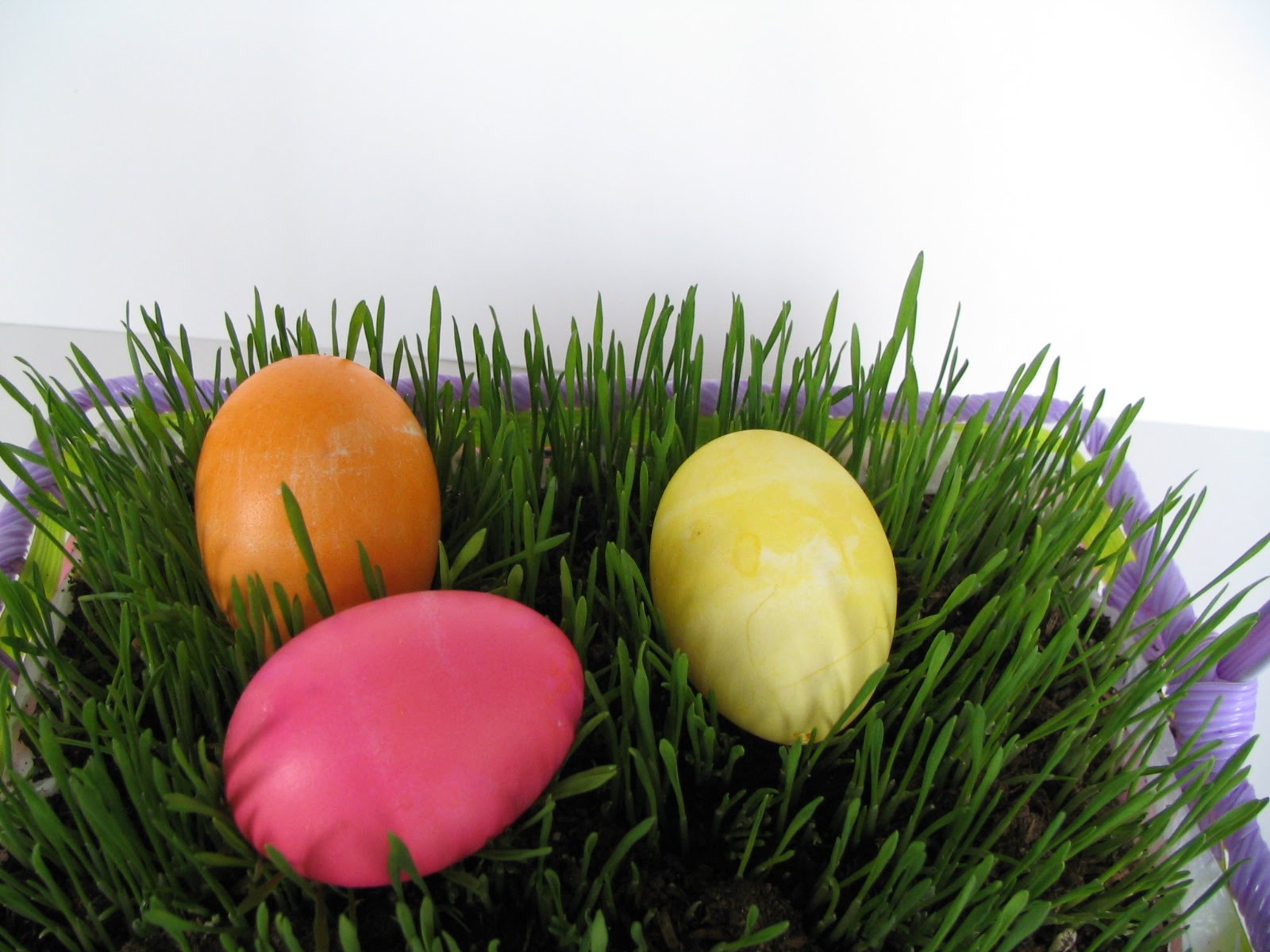 The Sister Letters: Tutorial: Easter Basket Grass