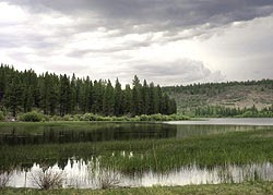 A Trail Runner's Blog: 1,462 Acre Waddle Ranch is California's Latest ...