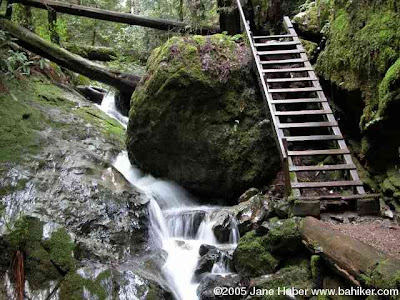 A Trail Runner's Blog: Great Escape at the Stinson Beach 50k