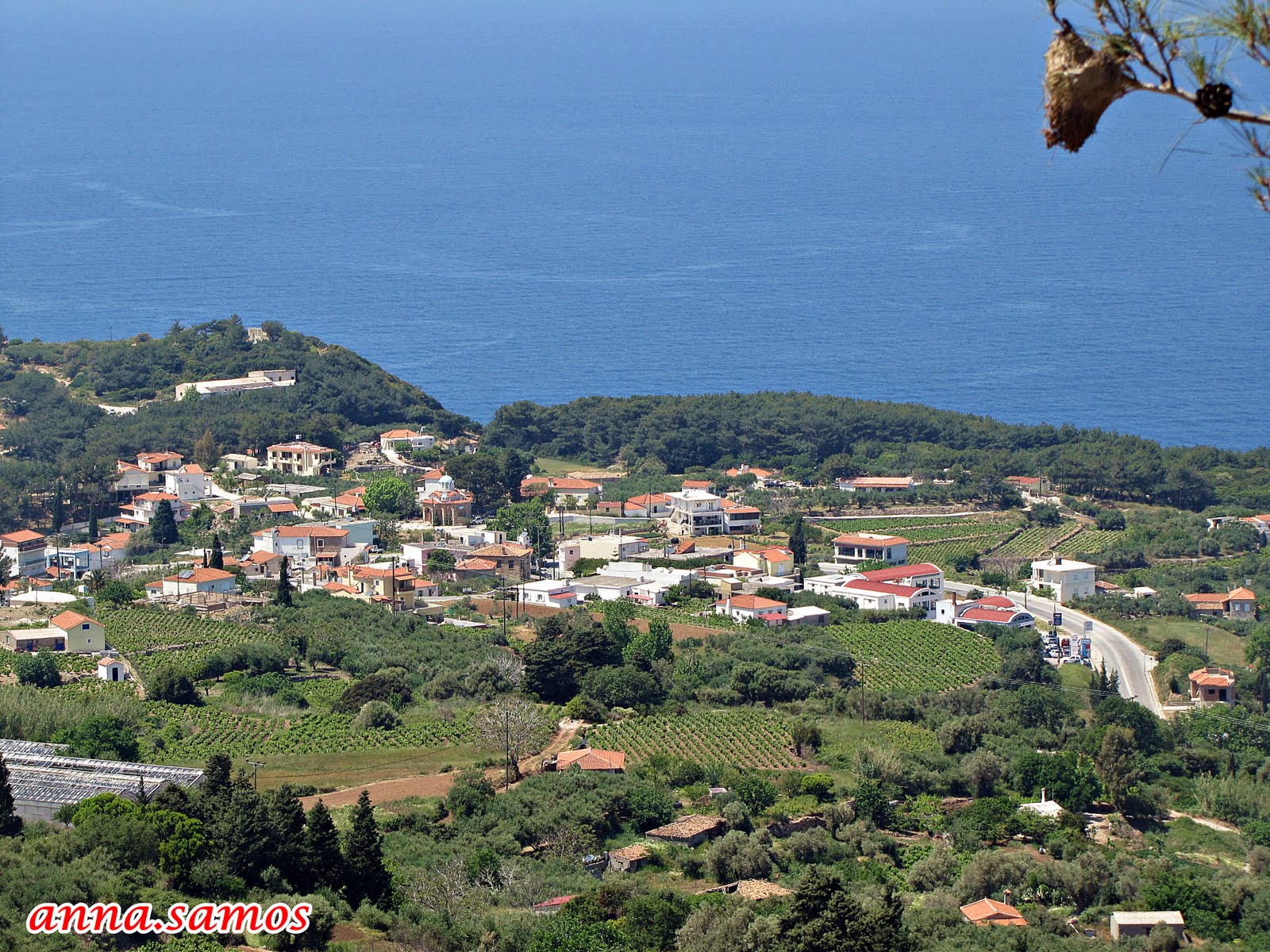 ΣΑΜΟΣ ΤΟ ΝΗΣΙ ΤΟΥ ΠΥΘΑΓΟΡΑ-Η ΚΥΡΑ ΤΩΝ ΑΜΠΕΛΙΩΝ 1: KONTAKEIKA