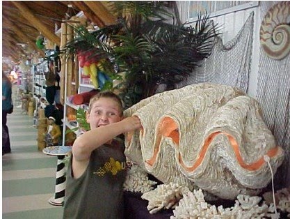 UNIQUE UNUSUAL OR INTERESTING: MAN KILLING GIANT CLAM