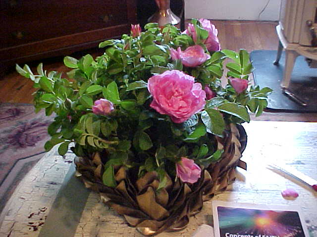 Rosy Creations: Natural Flower Caddy