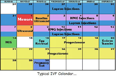 THE MILLER AND WANBERG IVF ADVENTURES