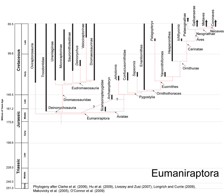 pan-Aves: Fosilie nelžou, kreacionisté ano (recenze)
