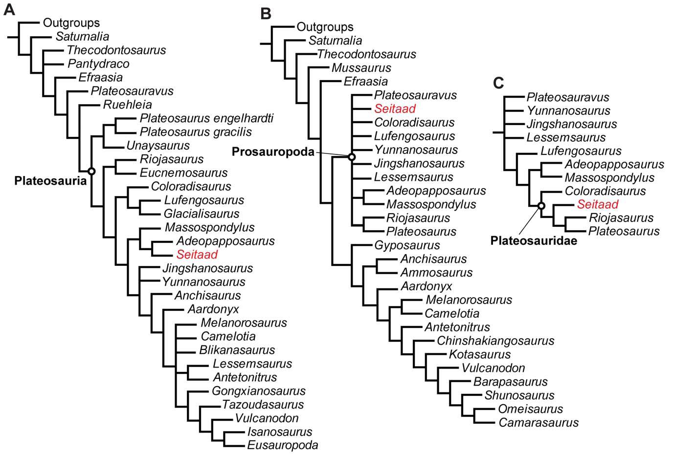 pan-Aves: Sauropodomorfní novinky: Ignavusaurus rachelis a Seitaad ...